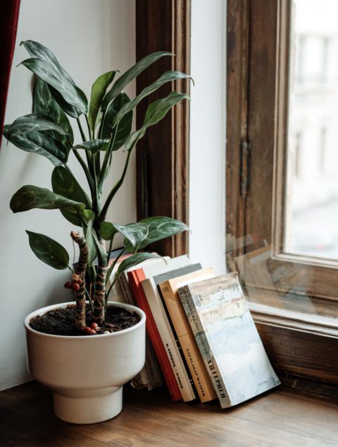 Home - The Marple Public Library