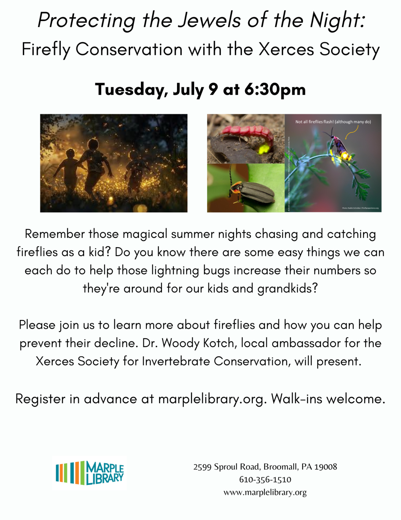 Adults - The Marple Public Library