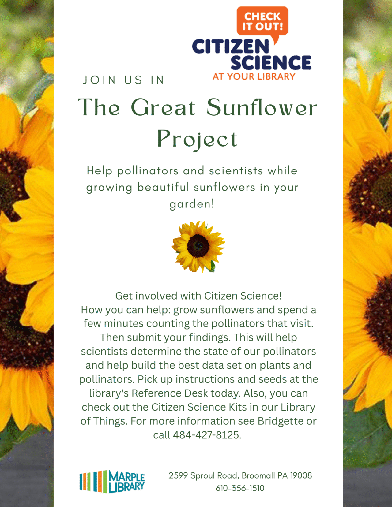 Adults - The Marple Public Library